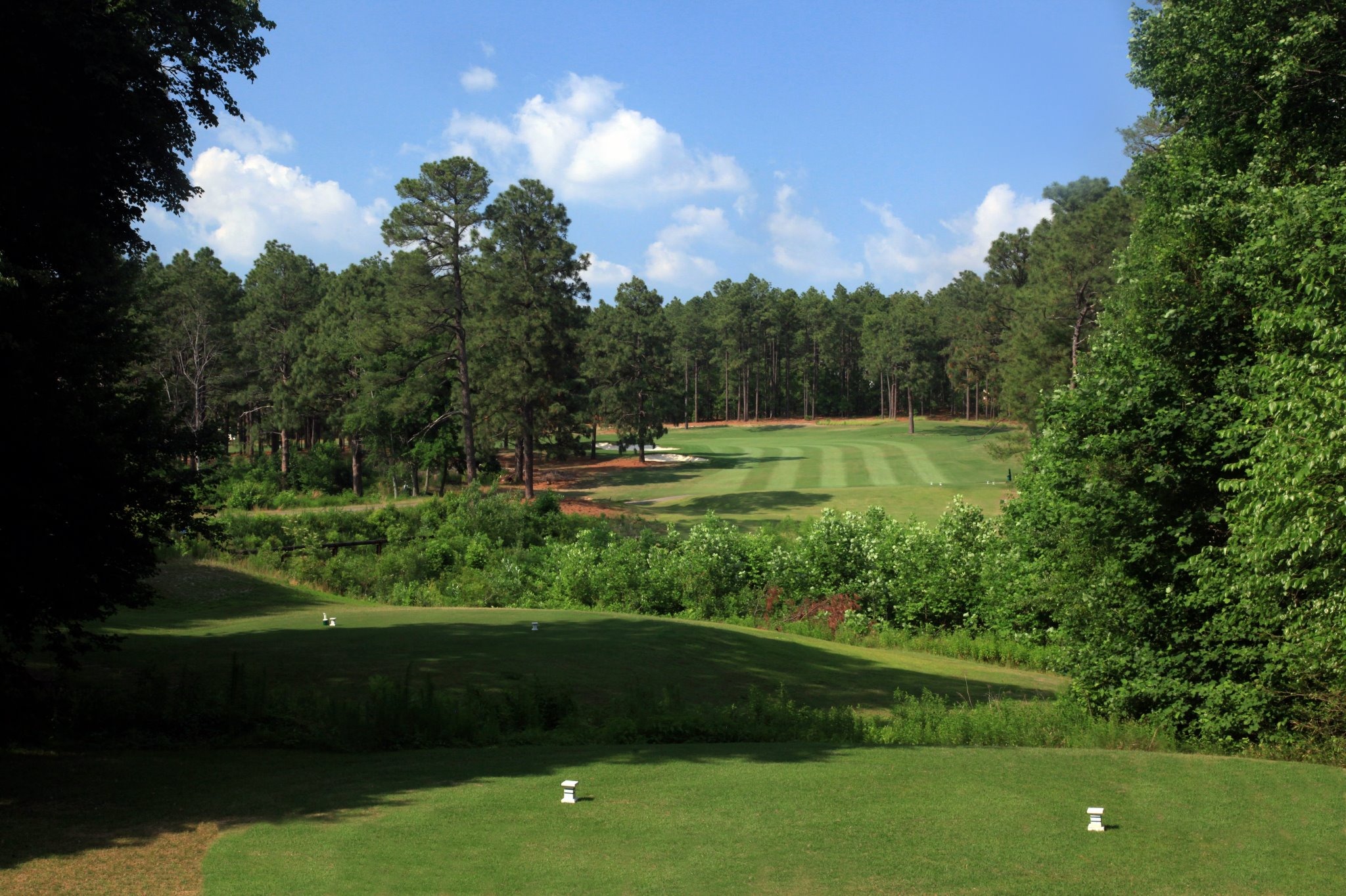 Photo Gallery - Longleaf Golf & Family Club